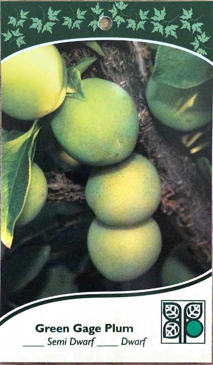 GREEN GAGE PLUM 150 CM SEMI (3 month warranty) - Oxford Insta-Shade