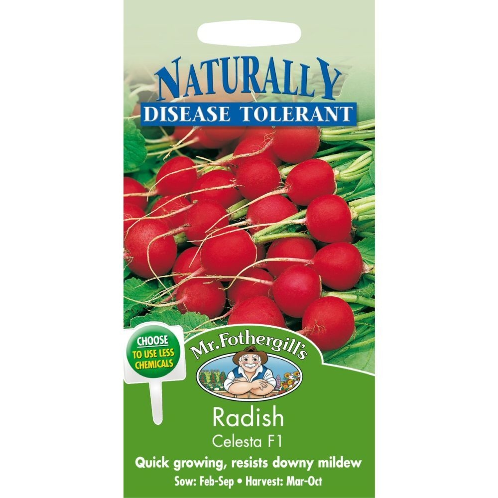 MR FOTHERGILL'S RADISH CELESTA F1 - Oxford Insta-Shade