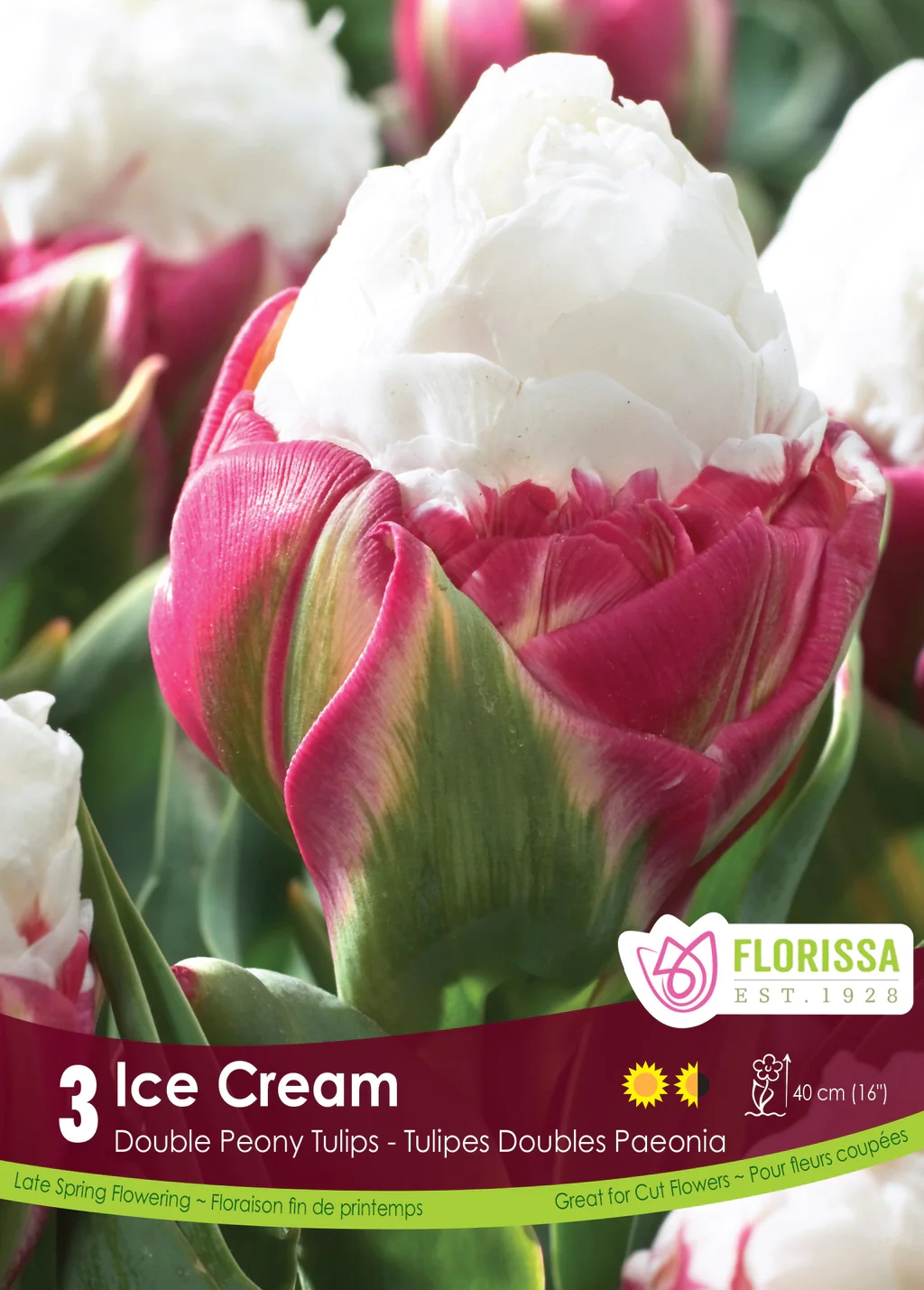 TULIP ICE CREAM DOUBLE 3 PKG - Oxford Insta-Shade